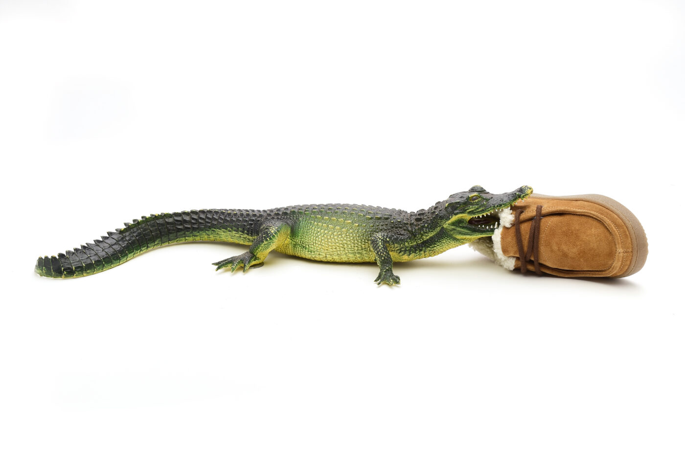 PèPè Children Shoes: Eleganza e Stile Italiano per i Piccoli - Polkadot